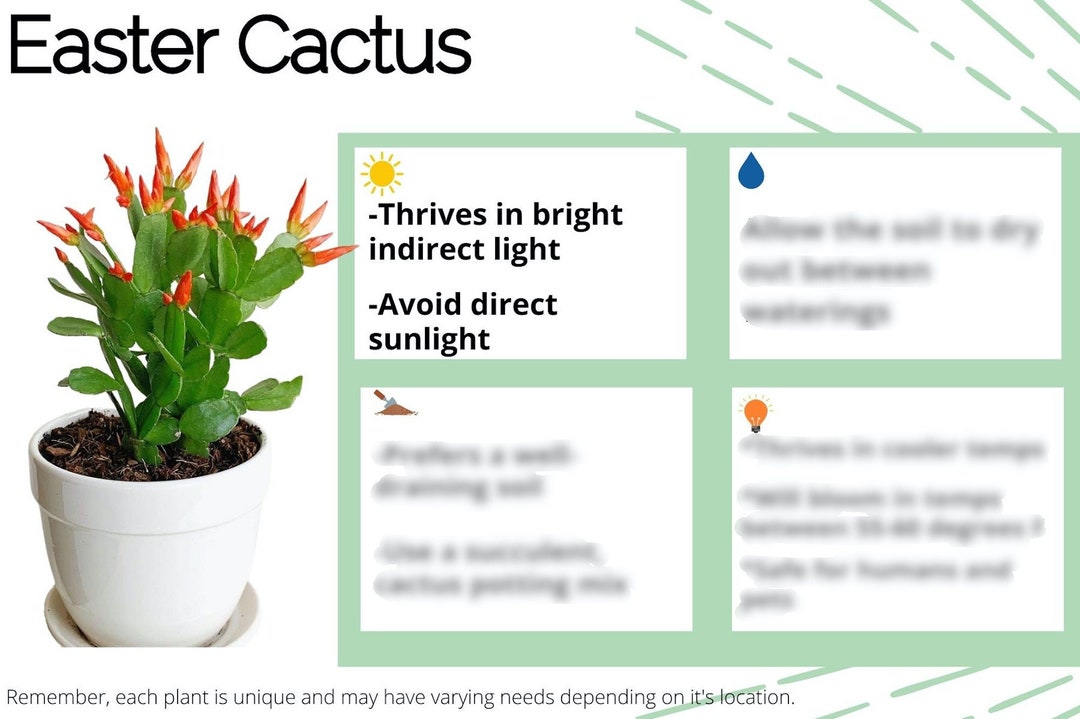 Easter Cactus Plant Care Card Digital Download/plant Care Card ...
