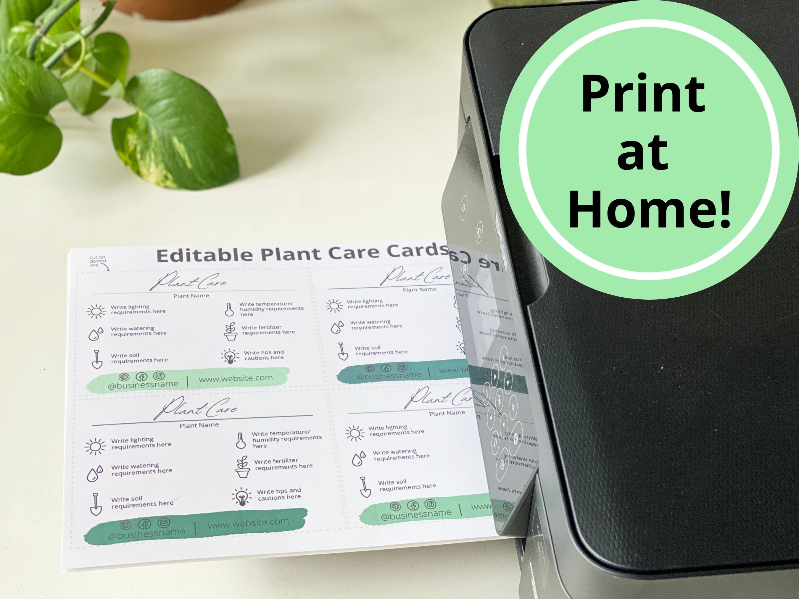 Editable Plant Care Card Printable Plant Care Card Template Plant Card ...