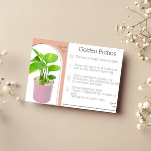Golden Pothos Care Guide - Printable Indoor Plant Care Instructions ...