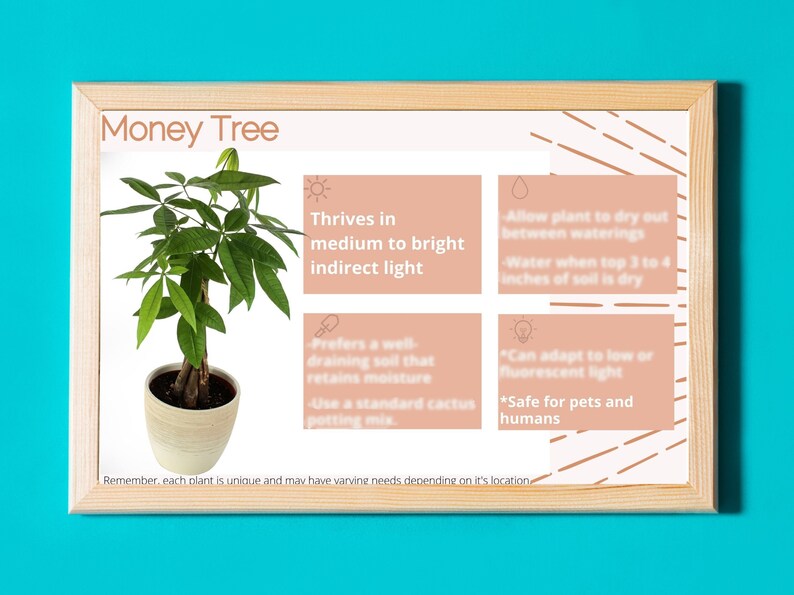 Money Tree Plant Care Card Digital Download Pachira Aquatica Plant Care ...