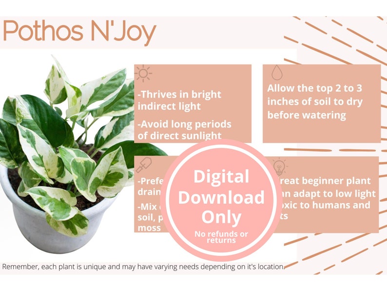 DIGITAL Pothos N'joy Plant Care Card Digital Download Only Printable ...