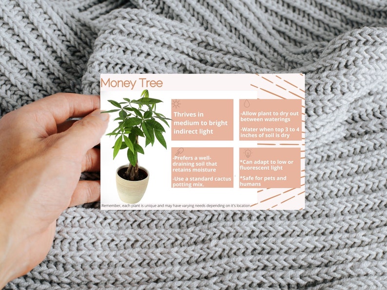 Money Tree Plant Care Card Digital Download Pachira Aquatica - Etsy Israel