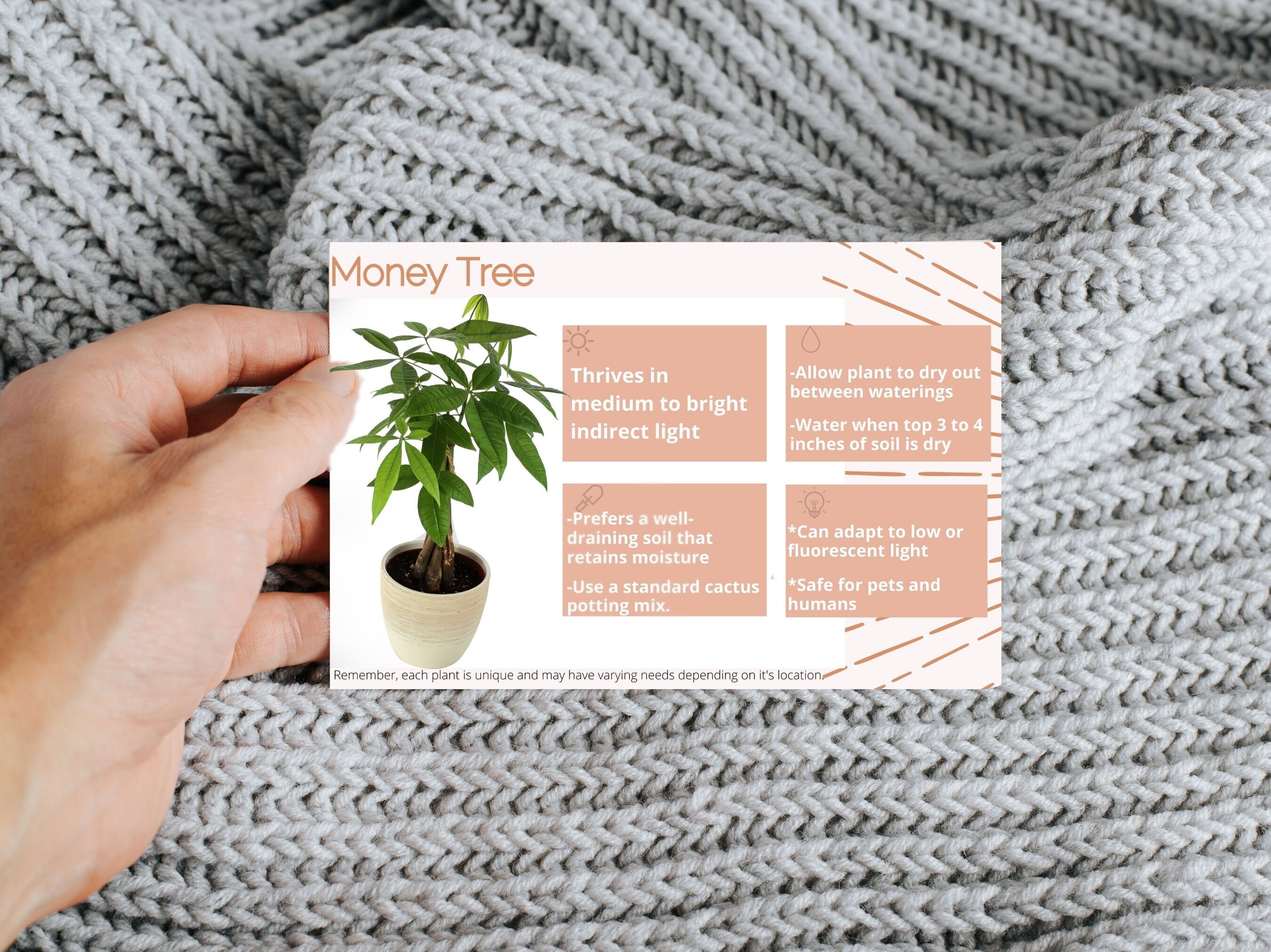 Money Tree Plant Care Card Digital Download | Pachira Aquatica Plant ...