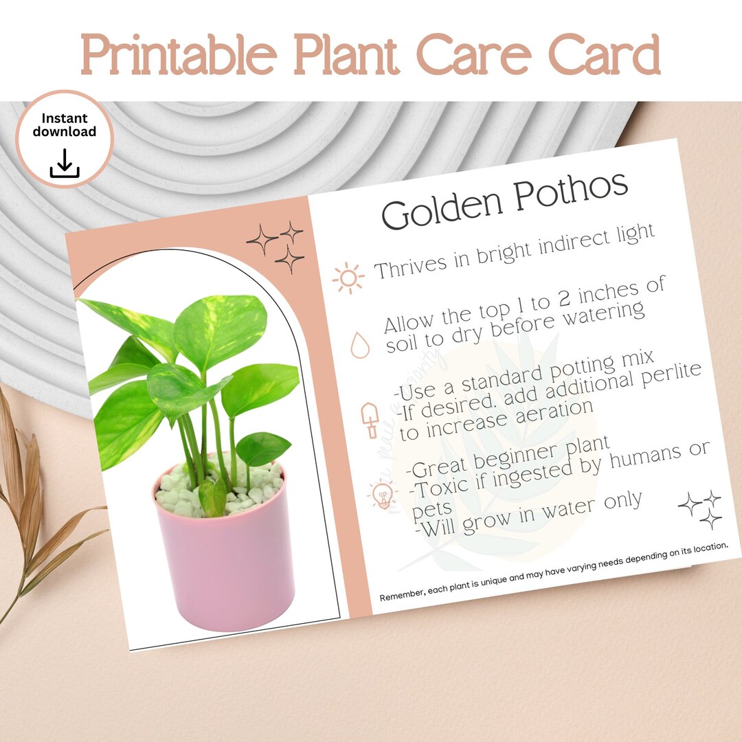 Golden Pothos Care Guide - Printable Indoor Plant Care Instructions ...