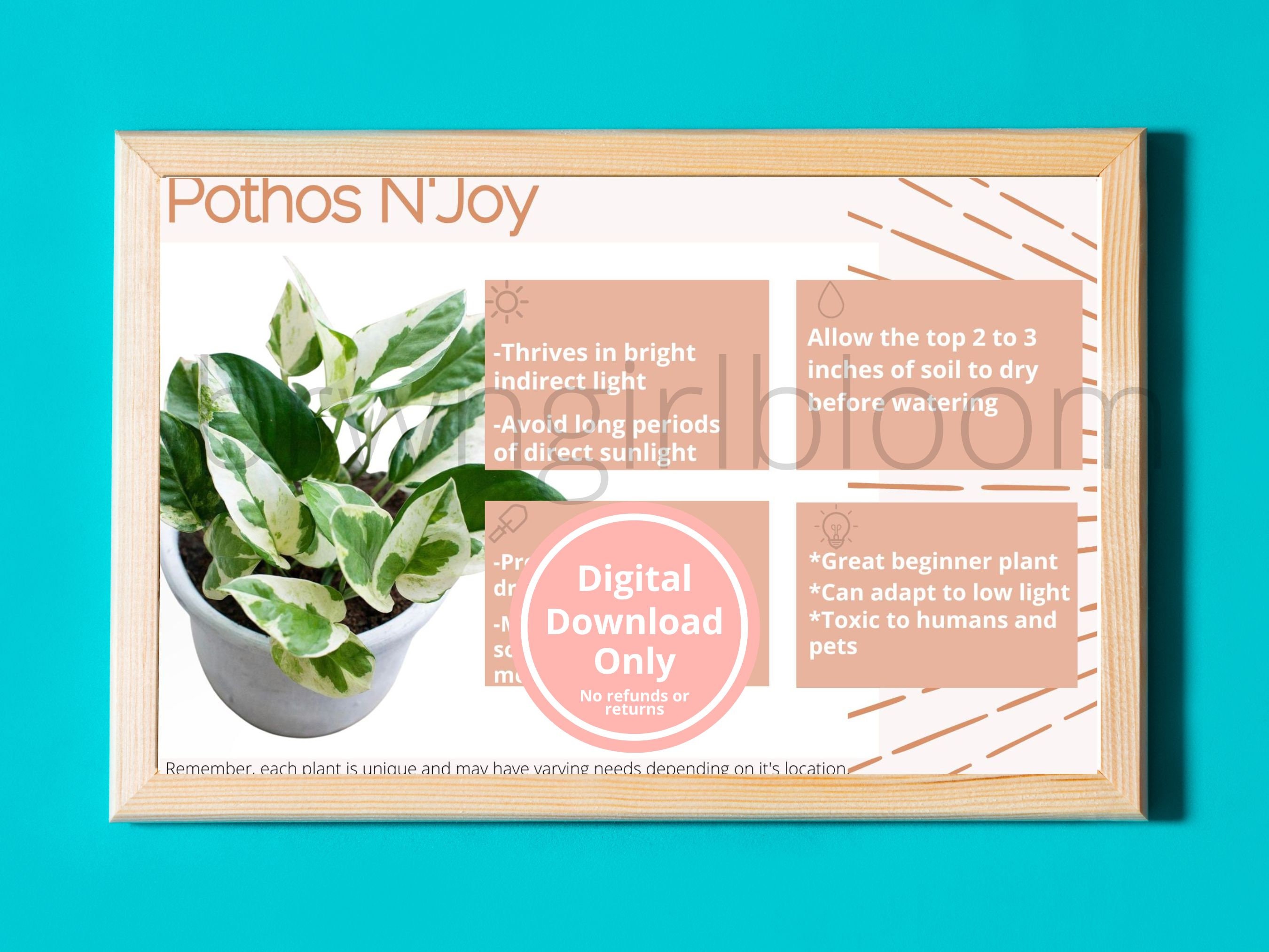 DIGITAL Pothos N'joy Plant Care Card Digital Download Only Printable ...