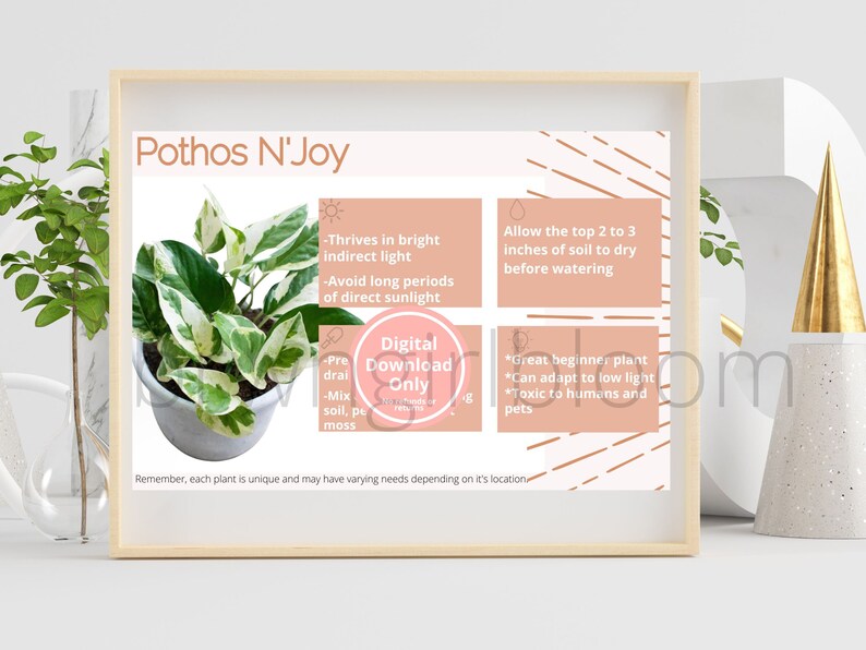 DIGITAL Pothos N'joy Plant Care Card Digital Download Only Printable ...