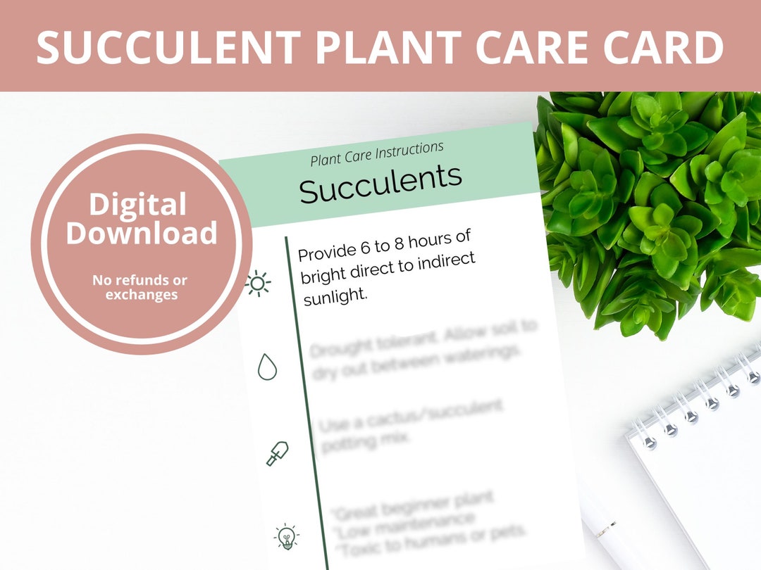 PRINTABLE Succulent Care Card Simple Plant Care Card Plant Care Card ...