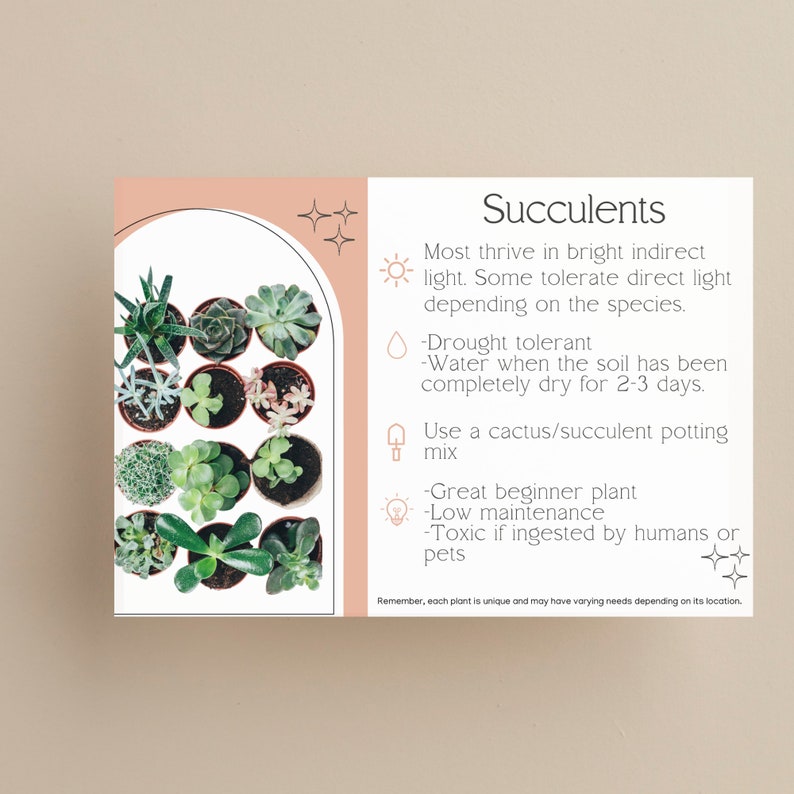 Succulent Care Instruction Printable Instant Digital Download, Indoor ...