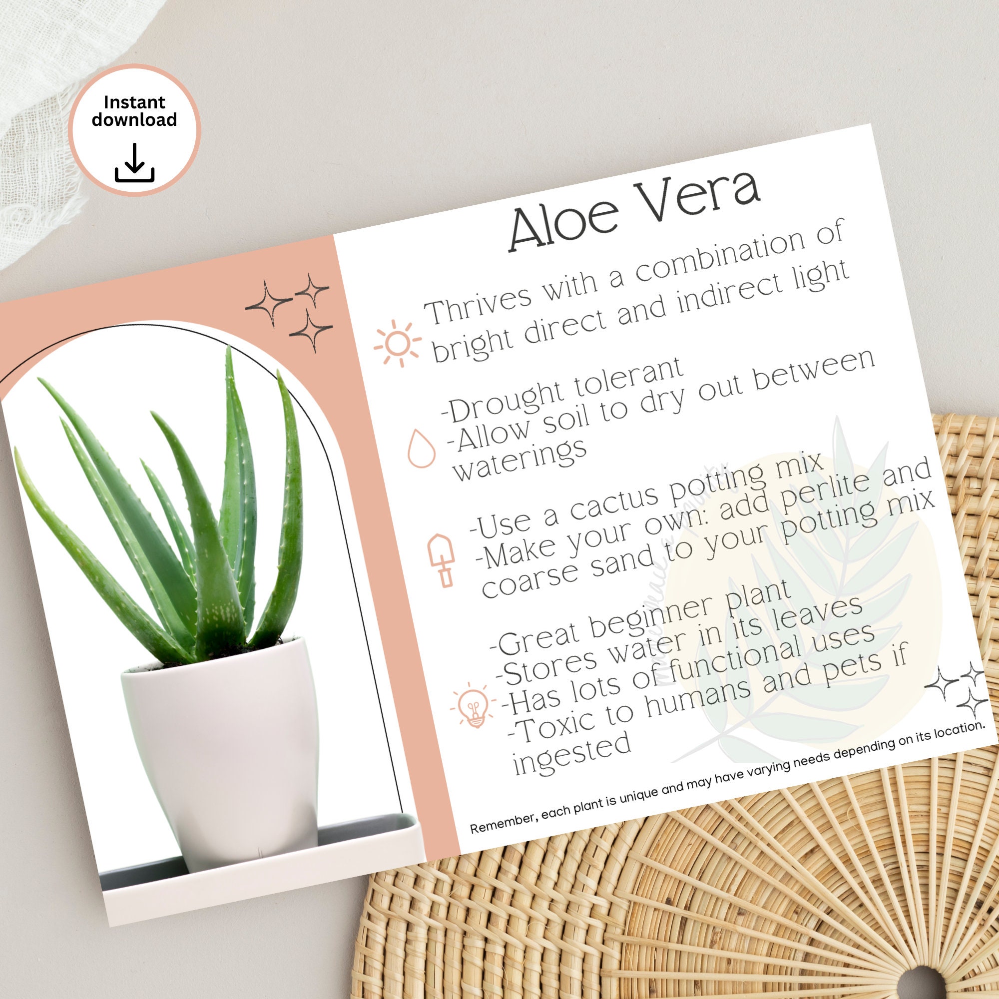 Aloe Vera Plant Care Card Indoor Plant Care Guide, Houseplant Care for ...