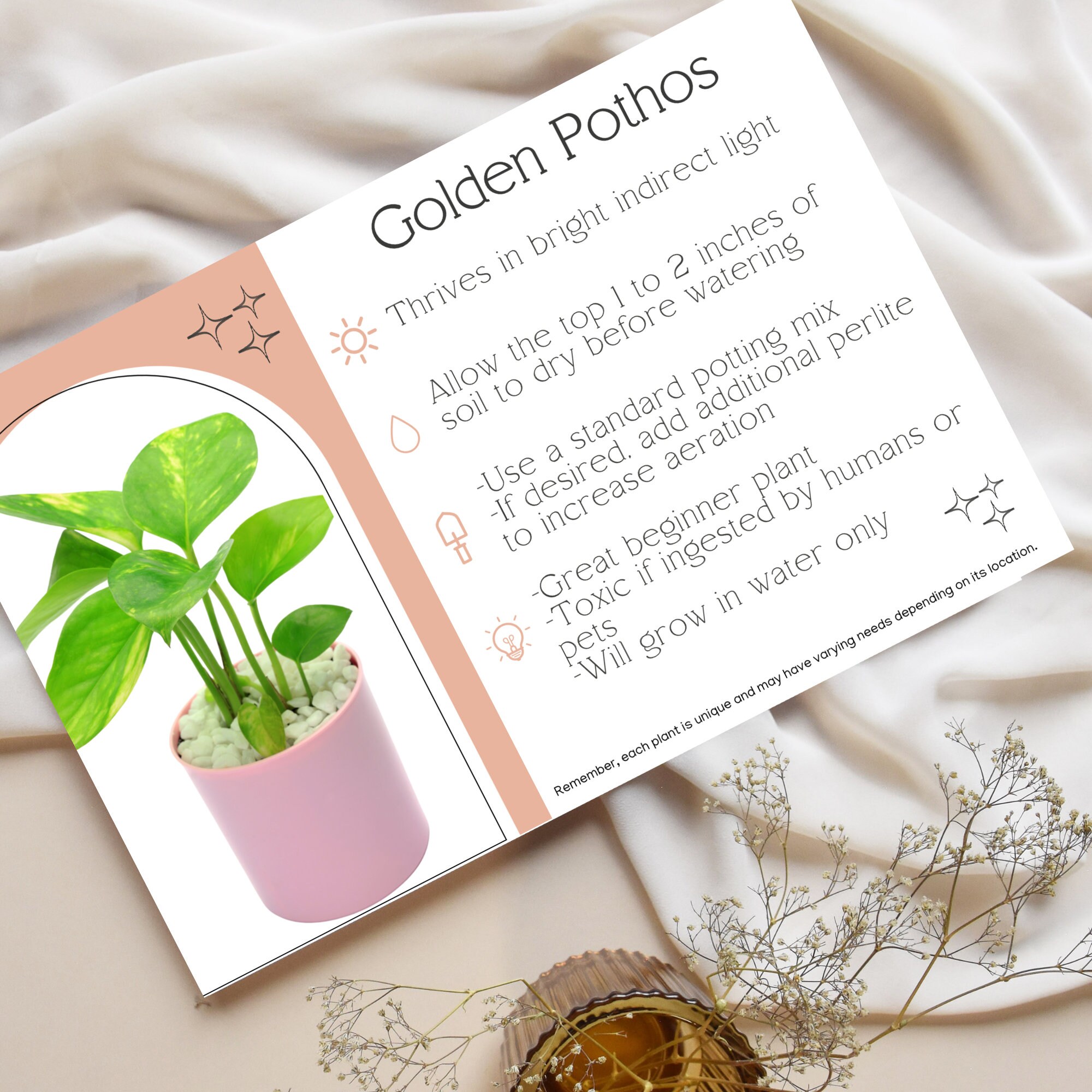Golden Pothos Care Guide - Printable Indoor Plant Care Instructions ...