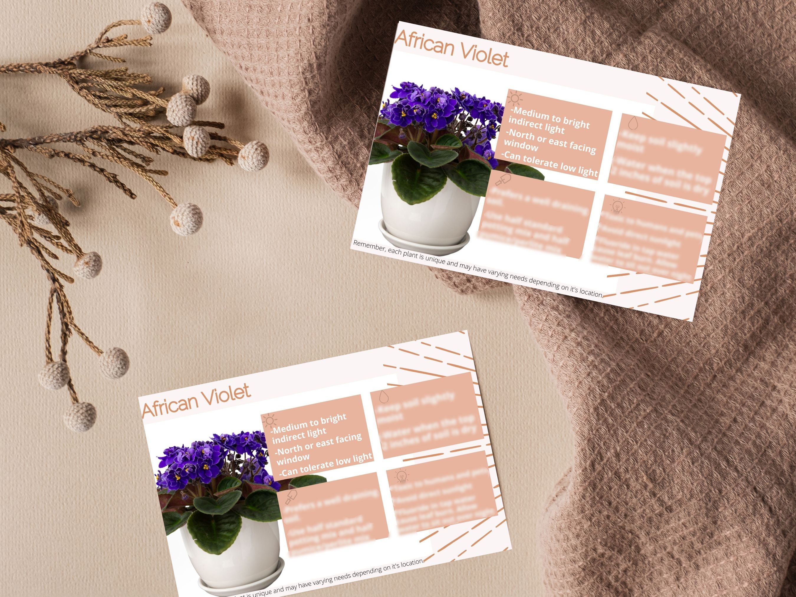 PRINTABLE African Violet Plant Care Card African Violet Care Tips ...