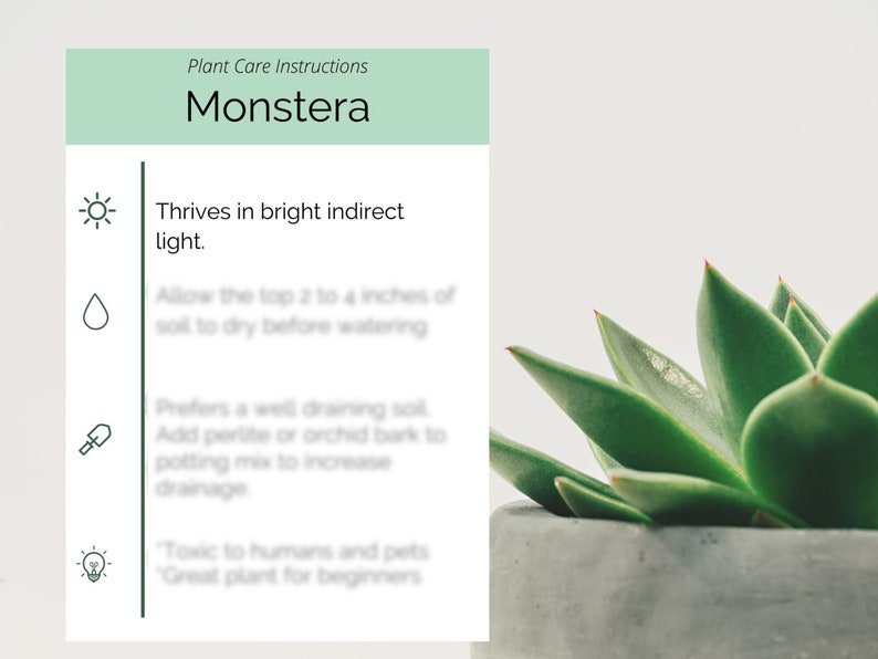 PRINTABLE Monstera Care Card Simple Plant Care Card Plant Care Card ...