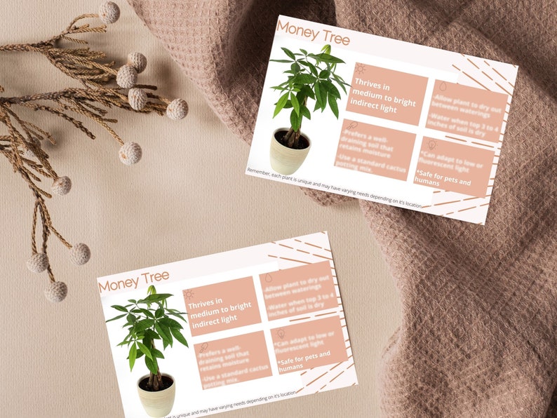 Money Tree Plant Care Card Digital Download | Pachira Aquatica Plant ...