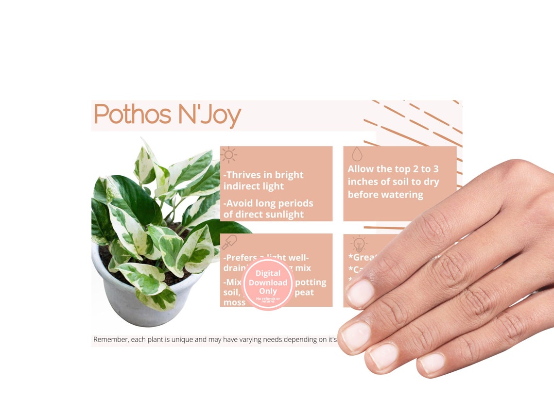 DIGITAL Pothos N'joy Plant Care Card Digital Download Only Printable ...
