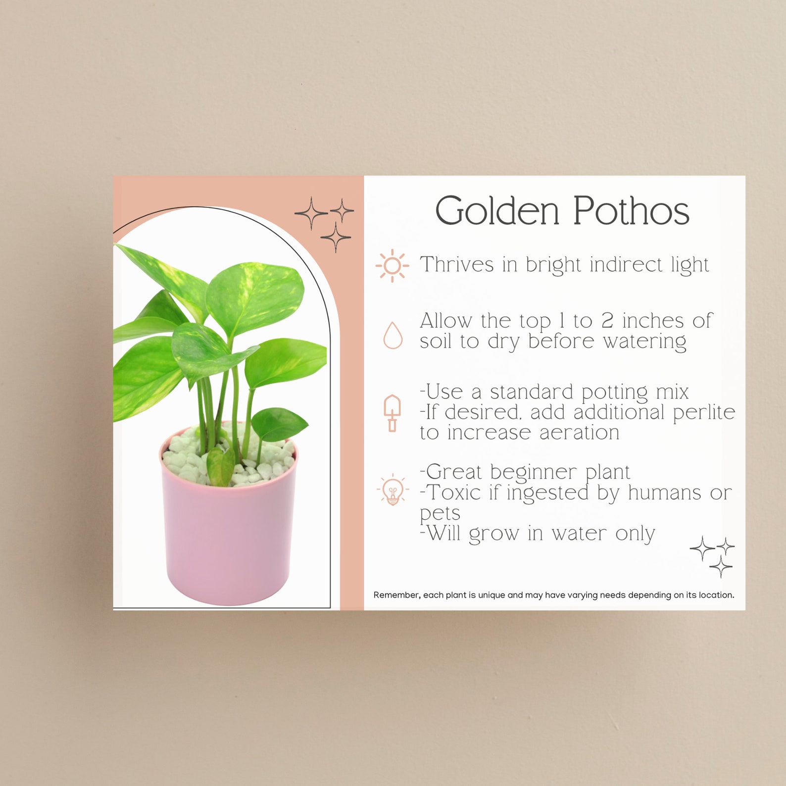 Golden Pothos Care Guide - Printable Indoor Plant Care Instructions ...