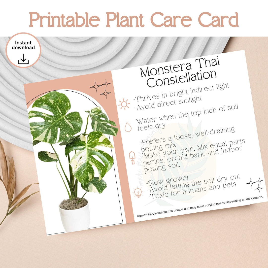 Monstera Thai Constellation Plant Care Card - Indoor Plant Care Guide ...