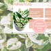 DIGITAL Pothos N'joy Plant Care Card Digital Download Only Printable ...