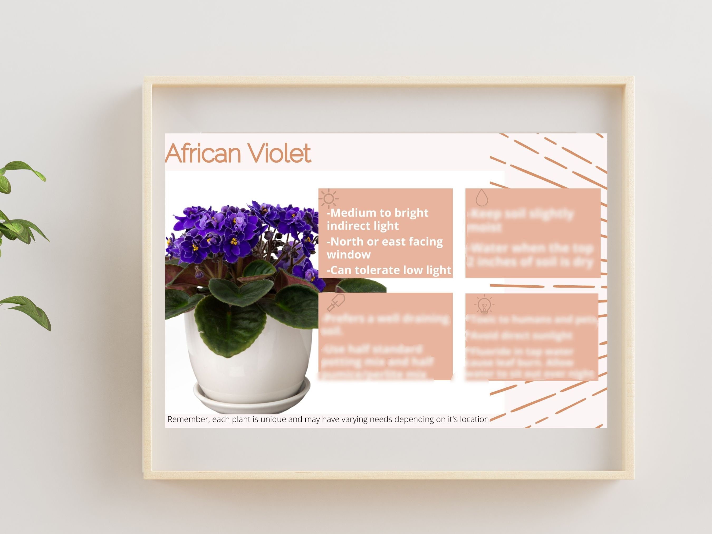 PRINTABLE African Violet Plant Care Card | African Violet Care Tips ...