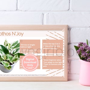 DIGITAL Pothos N'joy Plant Care Card Digital Download Only Printable ...