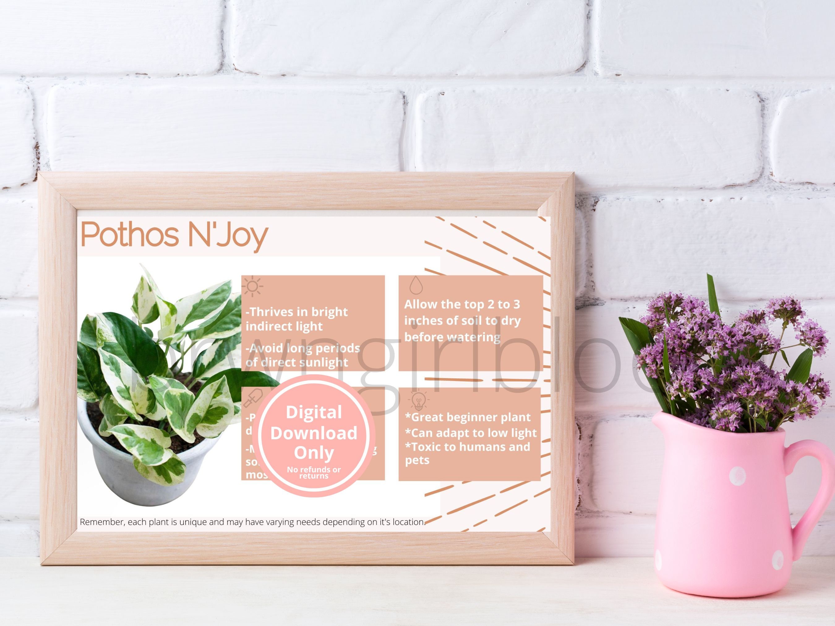DIGITAL Pothos N'joy Plant Care Card Digital Download Only Printable ...