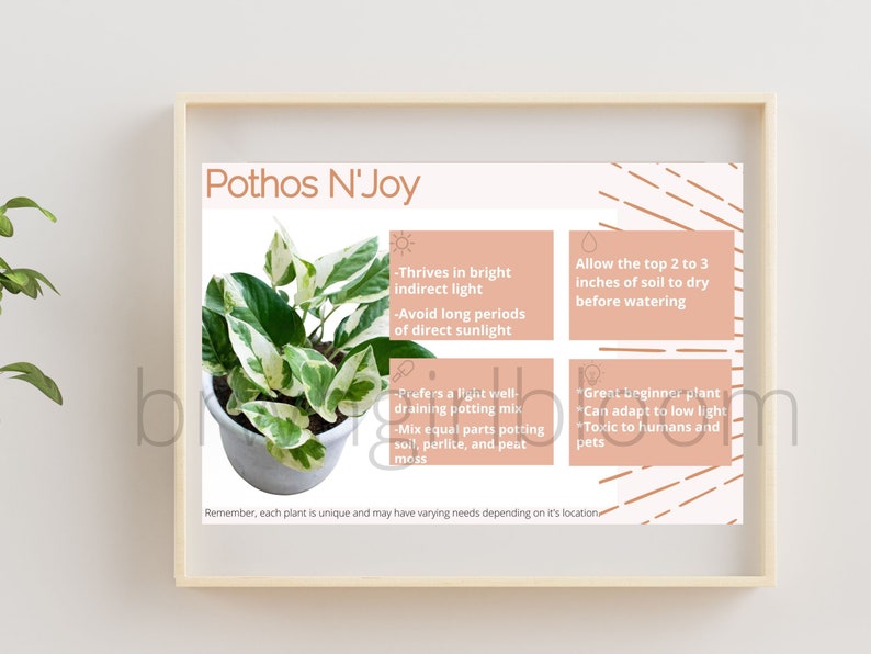 DIGITAL Pothos N'joy Plant Care Card Digital Download Only Printable ...