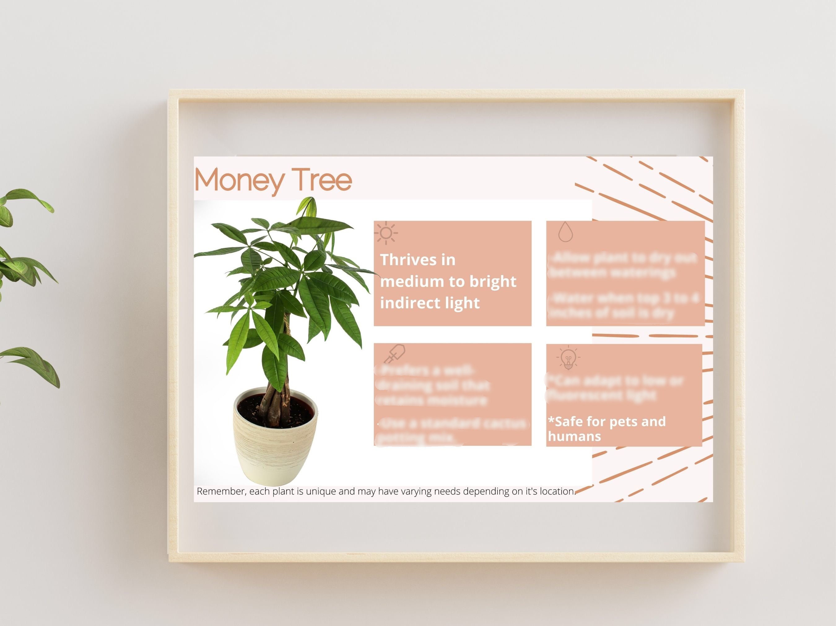 Money Tree Plant Care Card Digital Download | Pachira Aquatica Plant ...