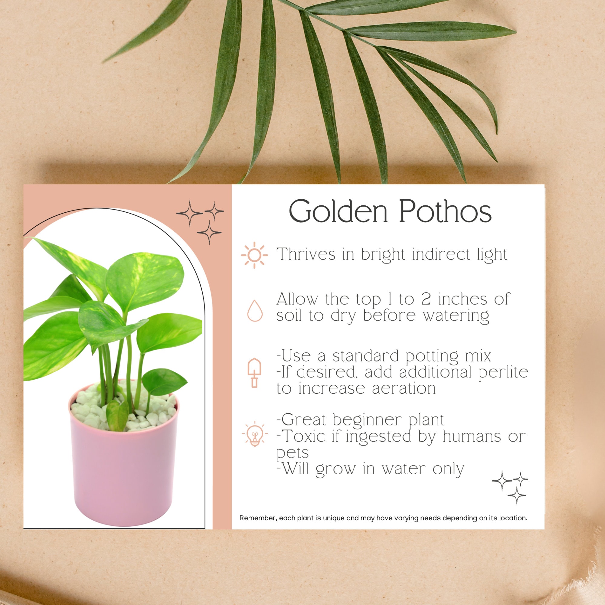 Golden Pothos Care Guide - Printable Indoor Plant Care Instructions ...