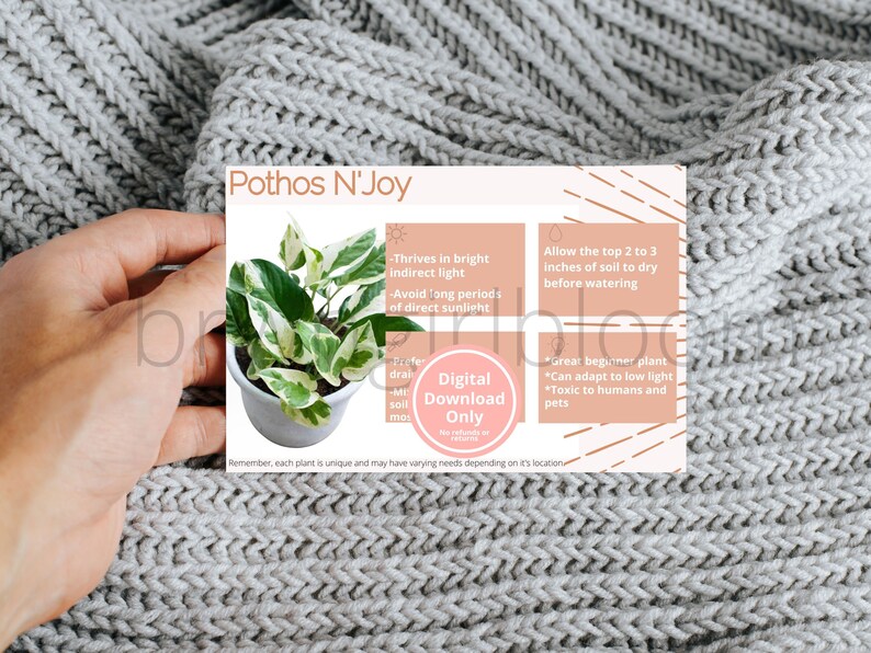 DIGITAL Pothos N'joy Plant Care Card Digital Download Only Printable ...