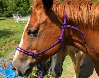 Custom Rope Halters - Etsy