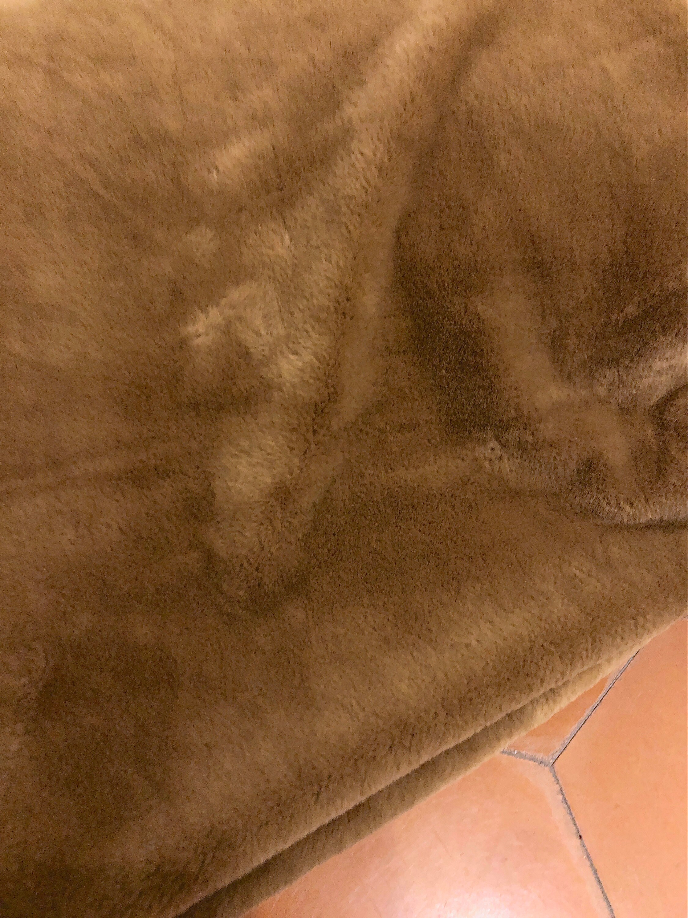 Faux Fur Fabric Tan Coffe Brown Short Pile Eco Plush for - Etsy