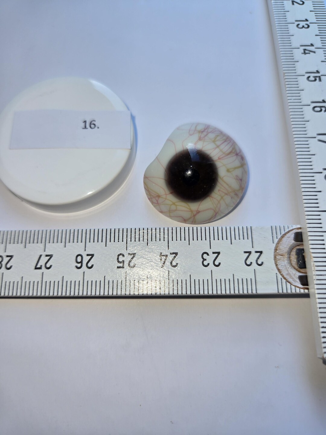 Glass Eye for Humans, Prosthesis, Used, Brown, Handmade, Art ...