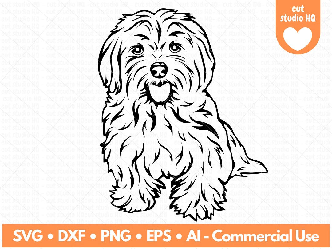 Bichon Frise SVG, Bichon Frise Png, Bichon Frise Dxf, Bichon Frise Eps ...