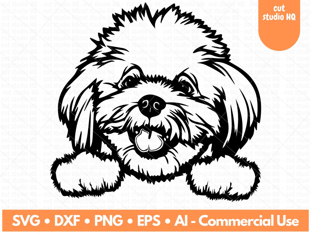 Bichon SVG Bichon Png Bichon Dxf Bichon Eps Bichon Vector - Etsy Australia
