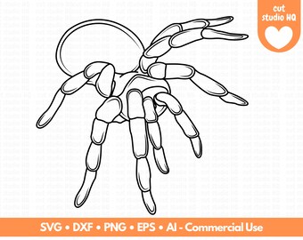 Spider Instant Digital Download Svg, Png, Dxf, and Eps Files Included ...