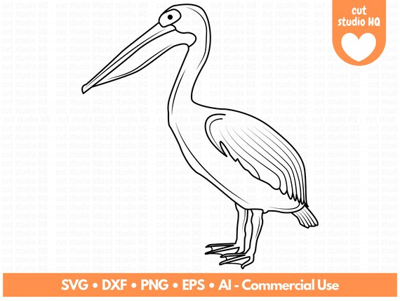 Pelican Svg Files Prepared for Cricut SVG Clip Art Digital | Etsy