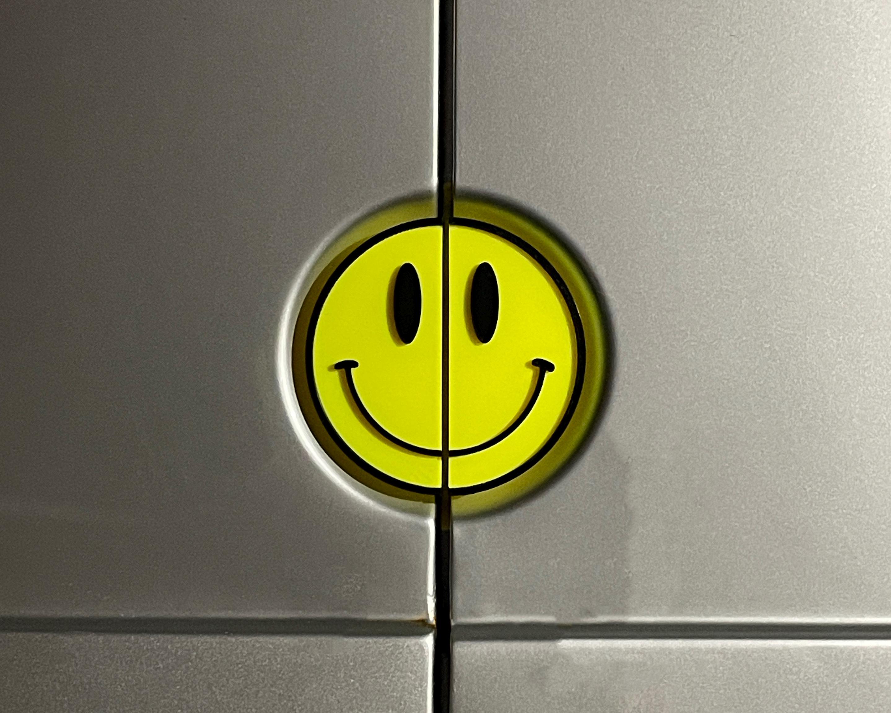 Smiley Face Rear Door Split Emblem for Mercedes Sprinter & VW Crafter ...