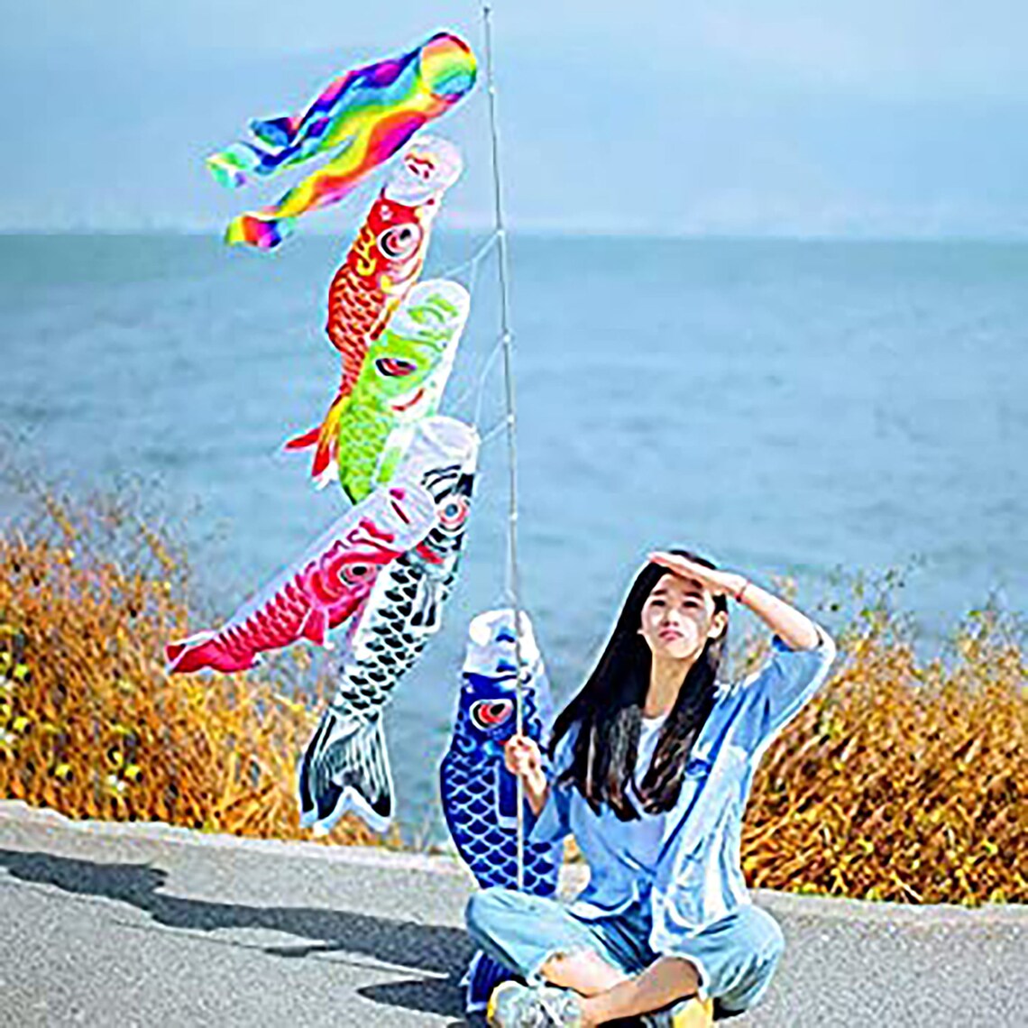 Koi Nobori Windsock Japanese Fish Decoration Children's - Etsy UK