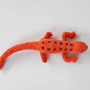Red Spotted Newt Crochet Pattern: Plush Salamander Red Eft (PDF) - Etsy