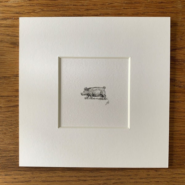 Pig Drawing - Etsy UK