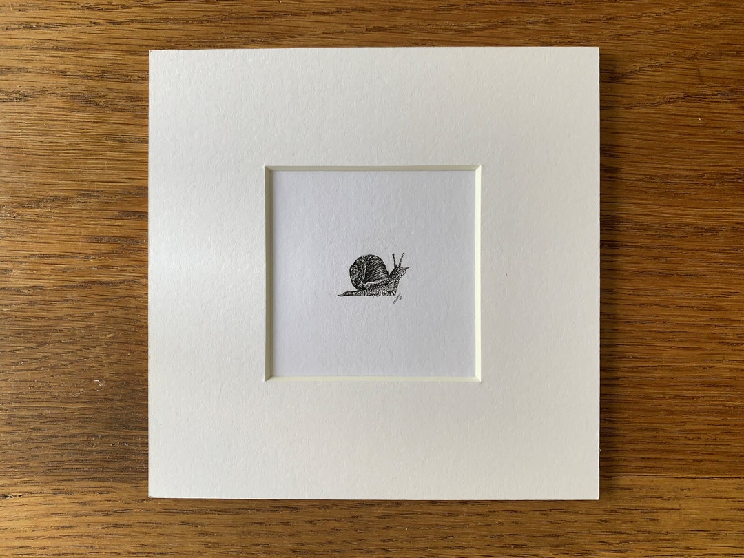 Miniature Snail Pen Drawing - 6x6 (inch) Mounted Artwork - Etsy