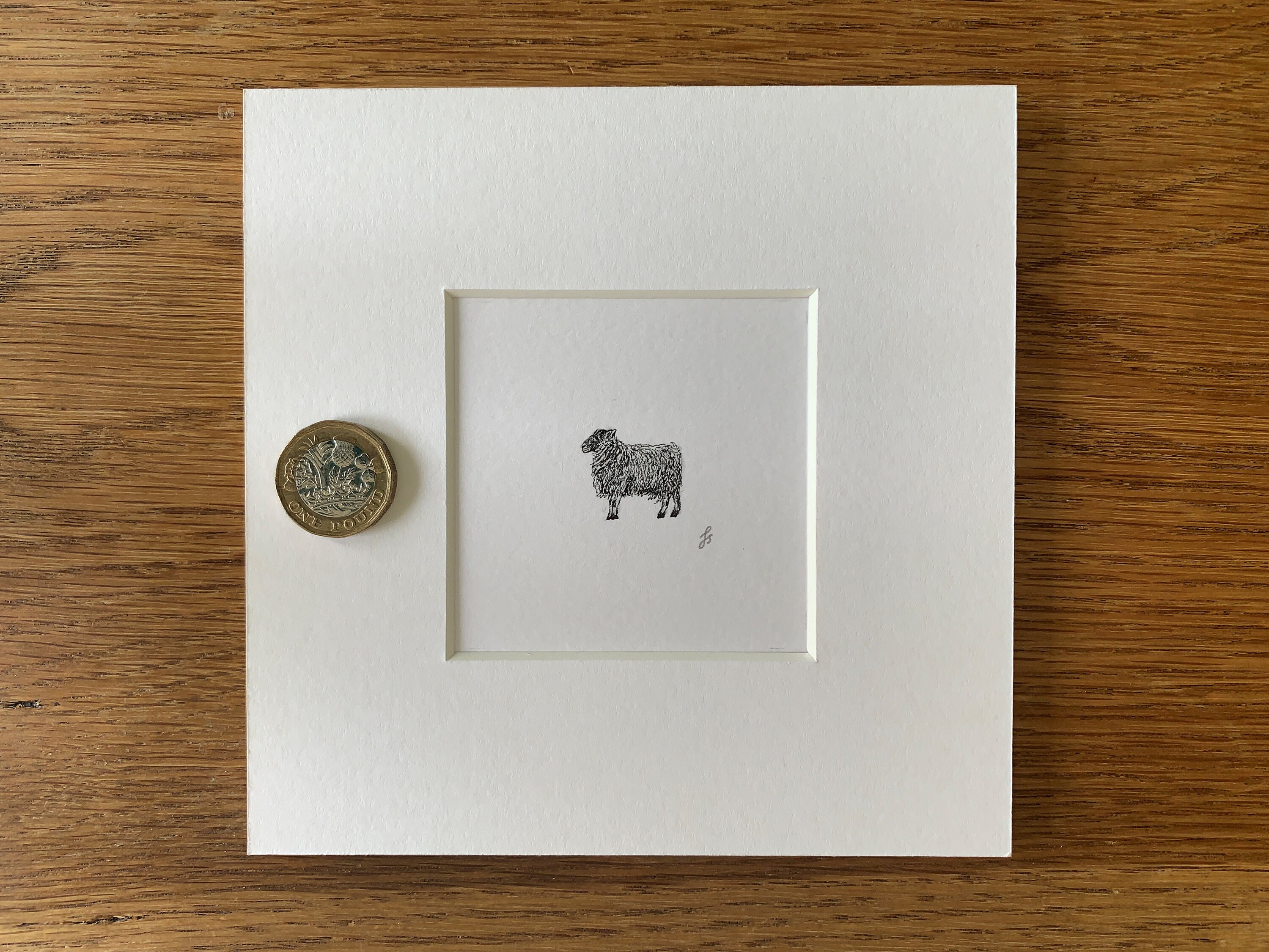 Miniature Sheep Pen Drawing - 6x6 (inch) Mounted Original - Etsy