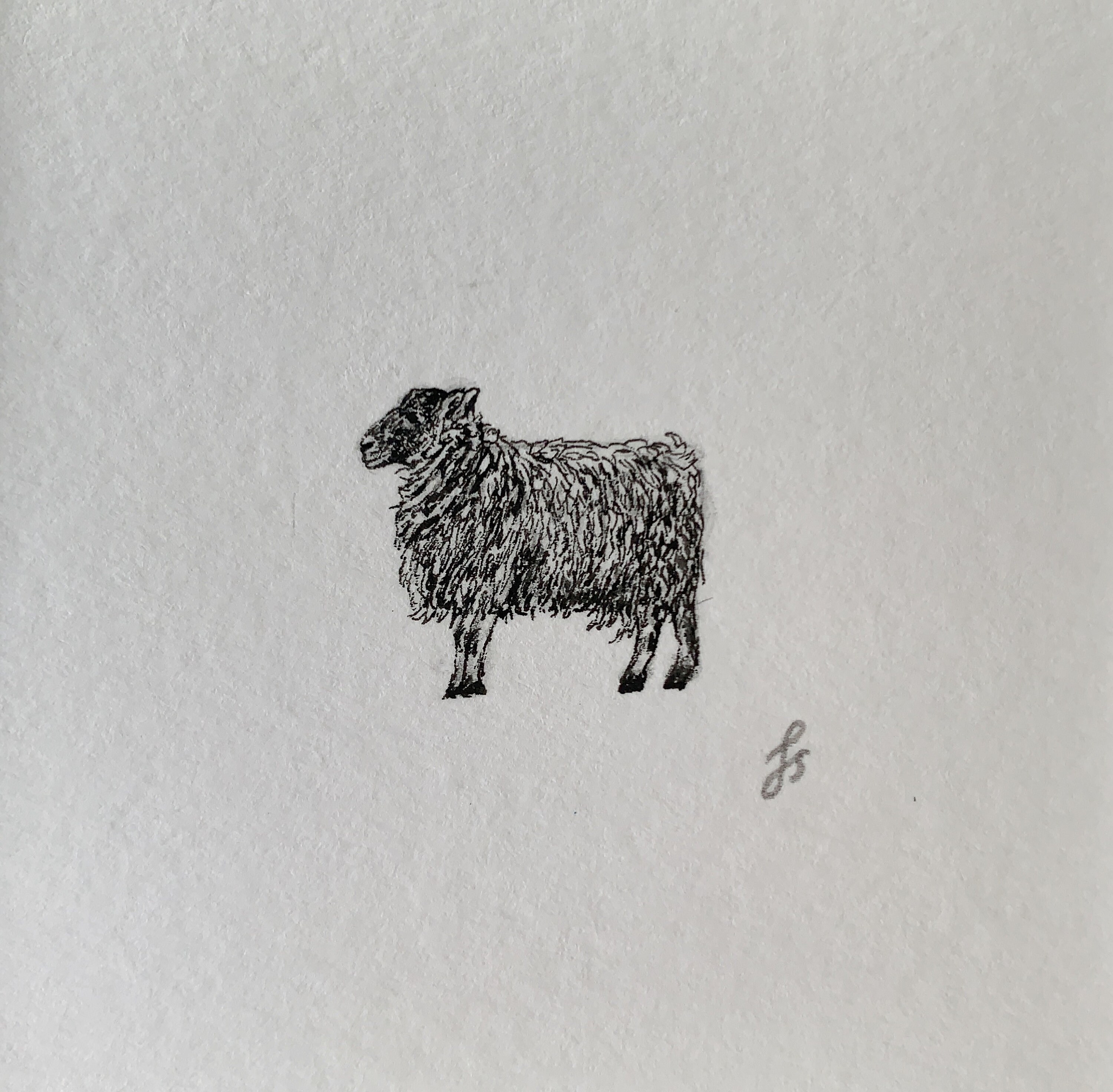 Miniature Sheep Pen Drawing 6x6 inch Mounted Original - Etsy