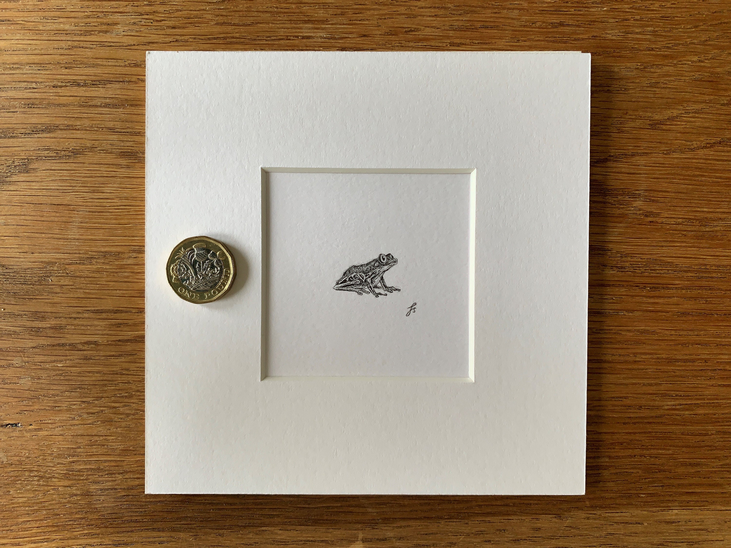 Miniature Tree Frog Pen Drawing - 6x6 (inch) Mounted Original - Etsy UK