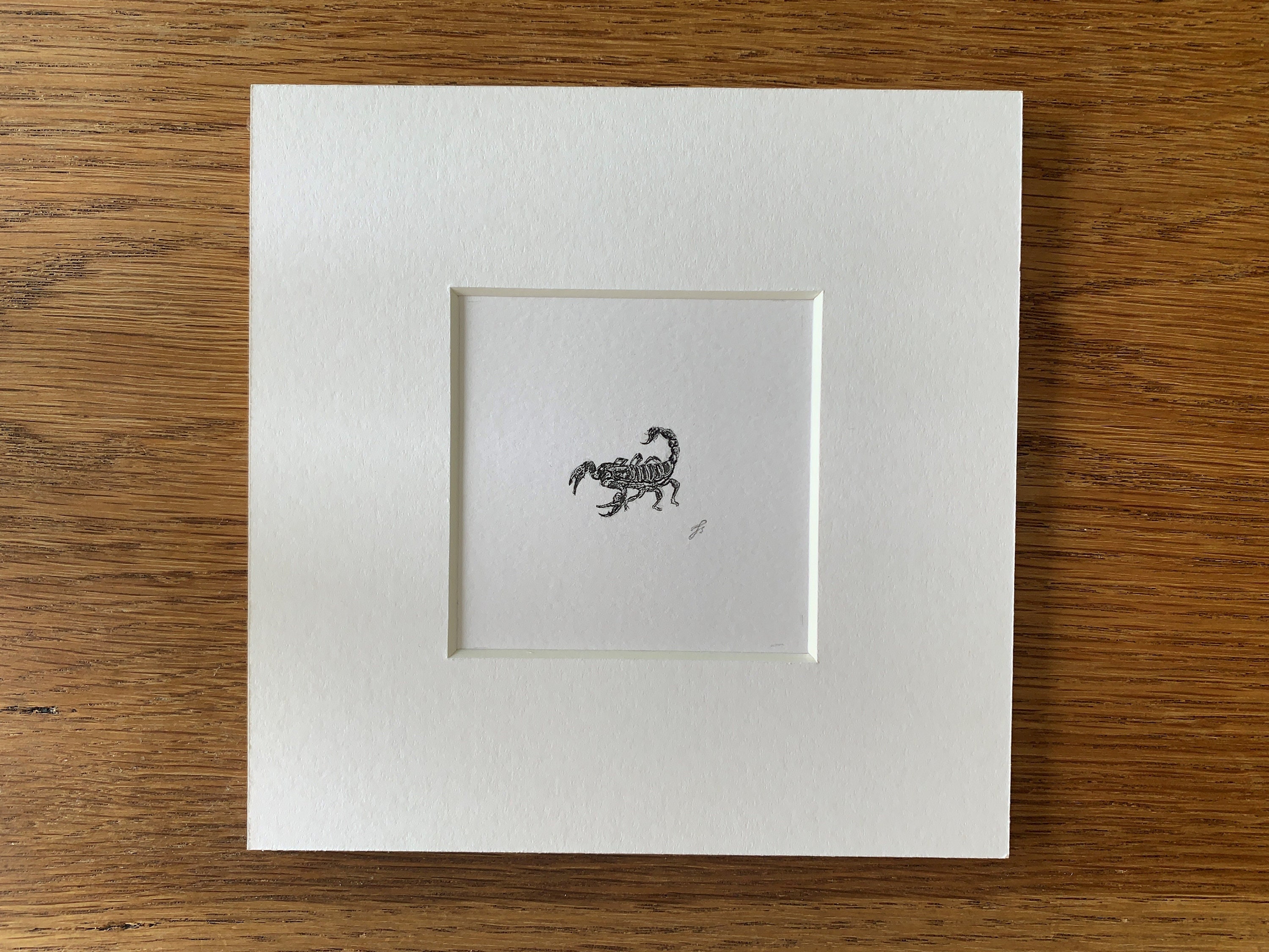 Miniature Scorpion Pen Drawing 6x6 inch Mounted Original - Etsy