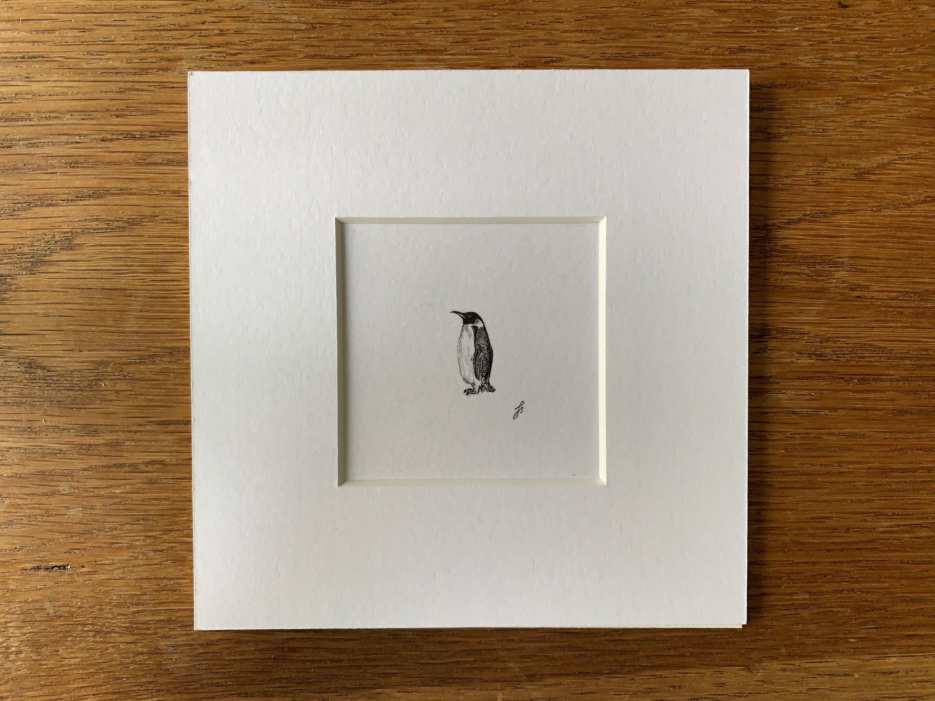 Miniature Emperor Penguin Pen Drawing 6x6 inch Mounted - Etsy
