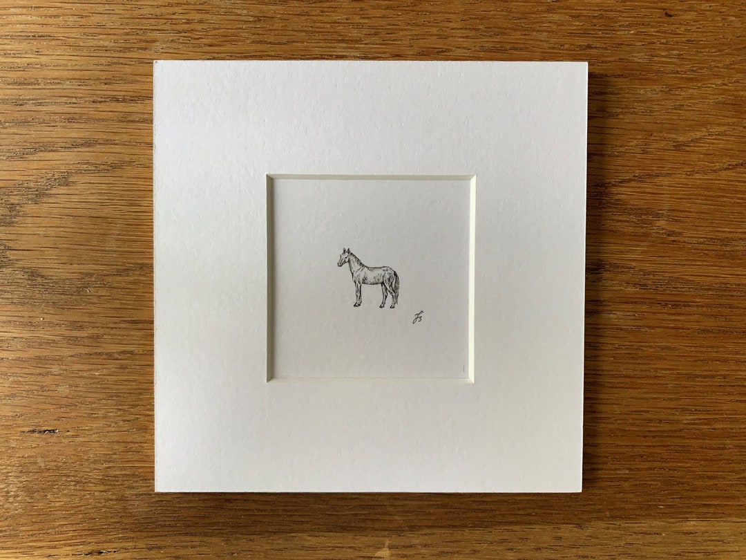 Miniature Horse Pen Drawing 6x6 inch Mounted Original - Etsy