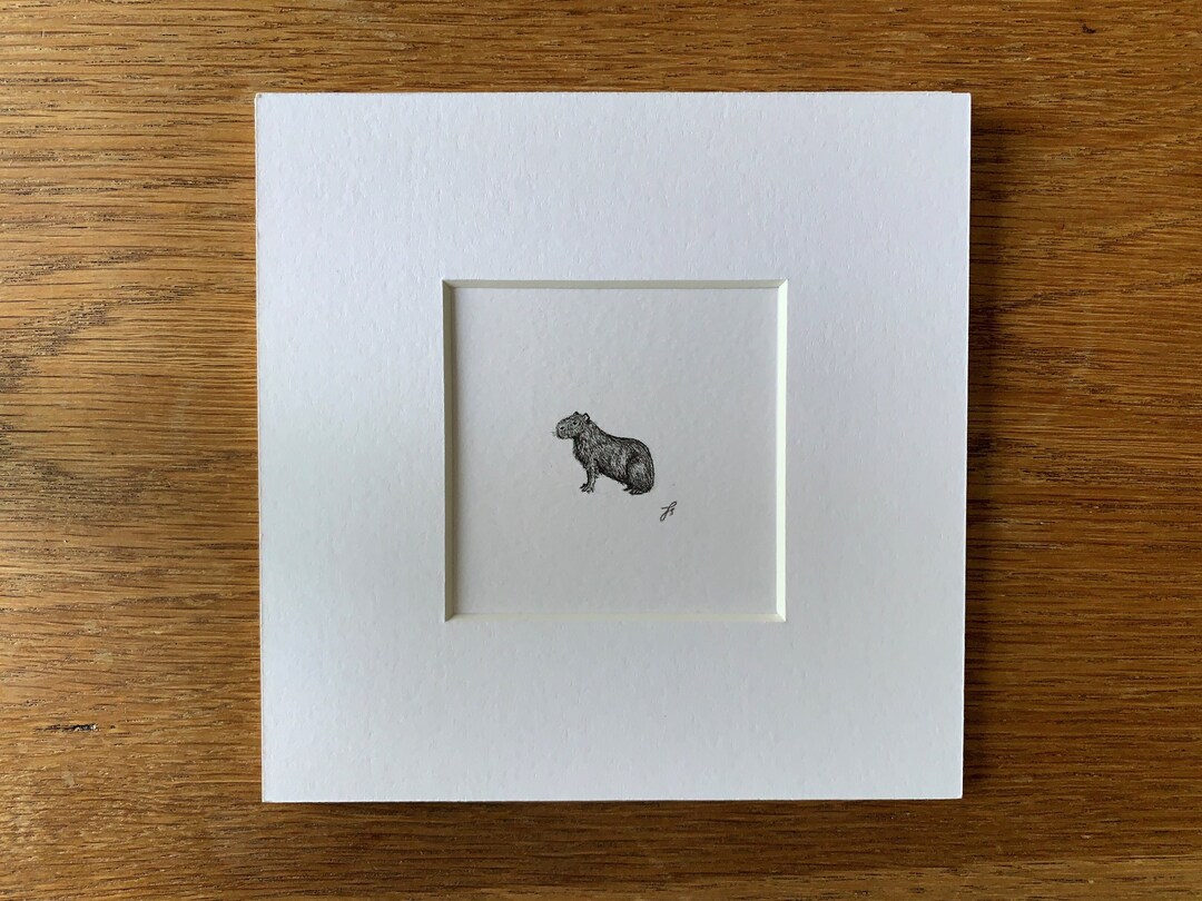 Miniature Capybara Pen Drawing 6x6 inch Mounted Original - Etsy