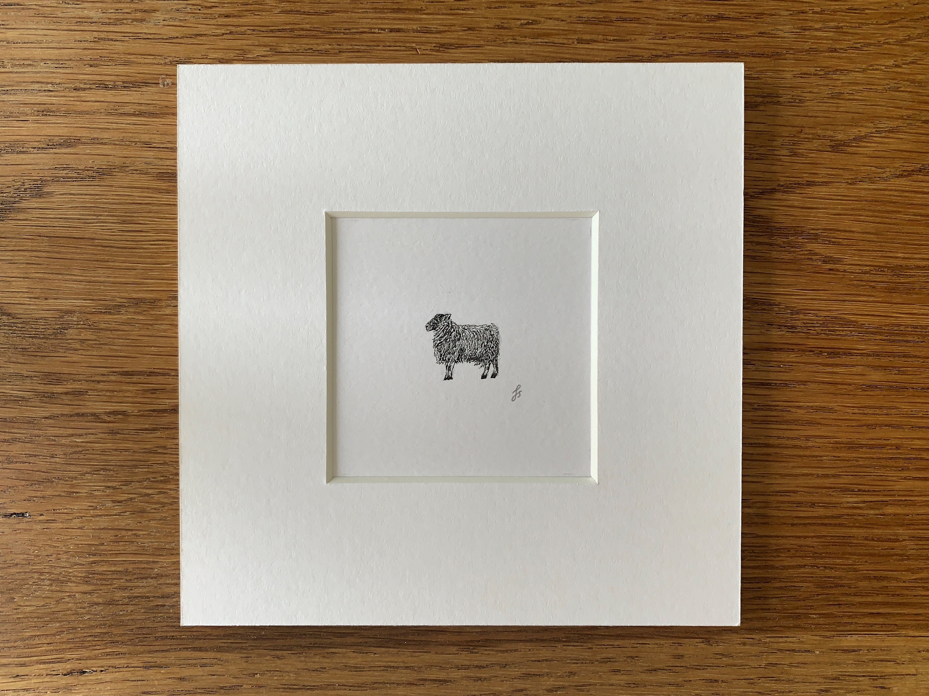 Miniature Sheep Pen Drawing - 6x6 (inch) Mounted Original - Etsy