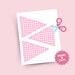 Printable Pink Gingham Banner Coquette Aesthetic, Preppy, Girly ...