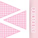Printable Pink Gingham Banner Coquette Aesthetic, Preppy, Girly ...